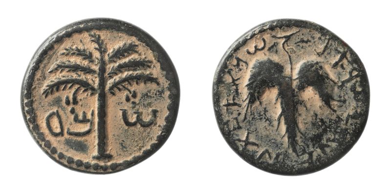 A coin of the Bar Kokhba Revolt | The Israel Museum, Jerusalem