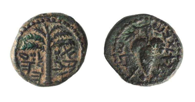 A coin of the Bar Kokhba Revolt | The Israel Museum, Jerusalem