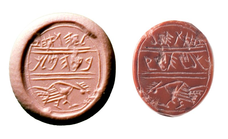 Coin of Yehud | The Israel Museum, Jerusalem