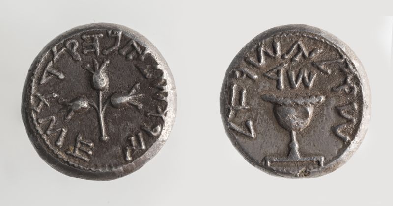 Jewish coin of the First Jewish War | The Israel Museum, Jerusalem
