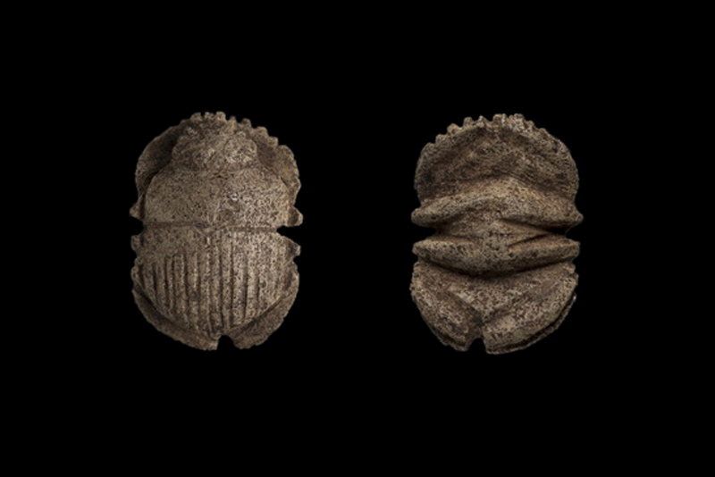 Scarab depicting naturalistic features of a beetle on the base | The ...