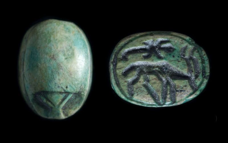 Scarab depicting a horned caprid and a scorpion | The Israel Museum ...