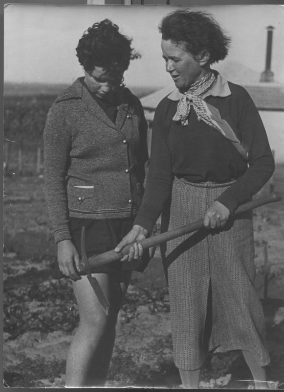 Demonstrating the use of the hoe, women's farm | The Israel Museum ...