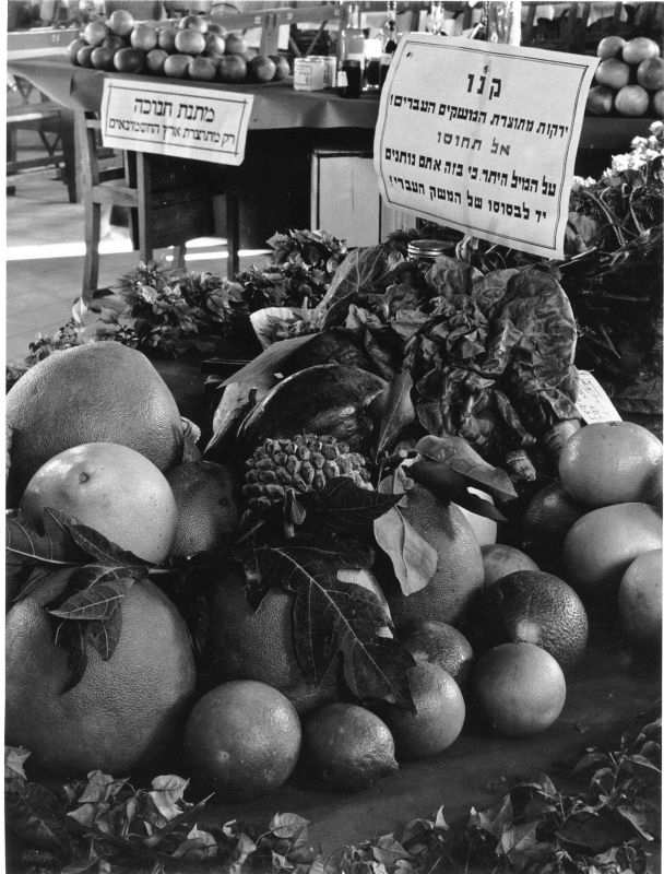 Hanukkah fair | The Israel Museum, Jerusalem