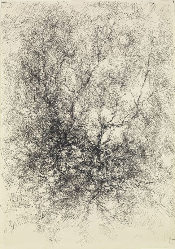 Tree Branches and Moon | The Israel Museum, Jerusalem