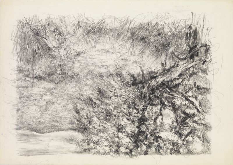 Judean Mountains | The Israel Museum, Jerusalem