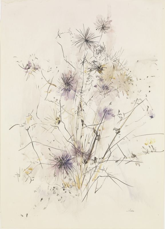 Wild Flowers | The Israel Museum, Jerusalem