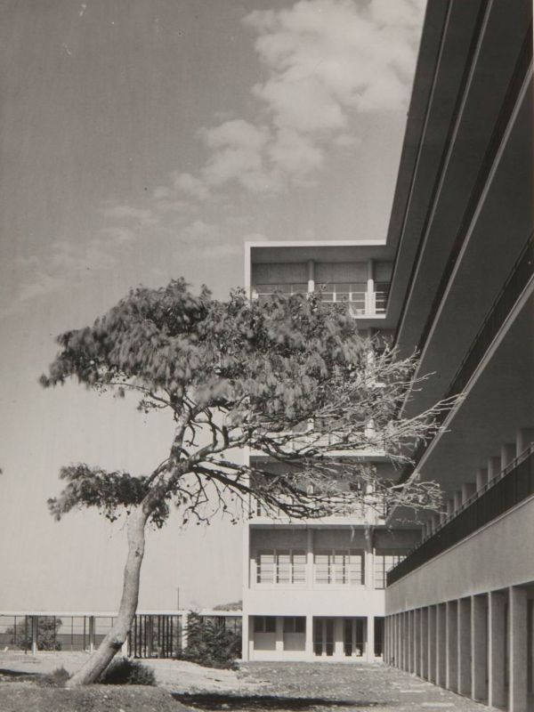 Rambam Hospital, Haifa | The Israel Museum, Jerusalem