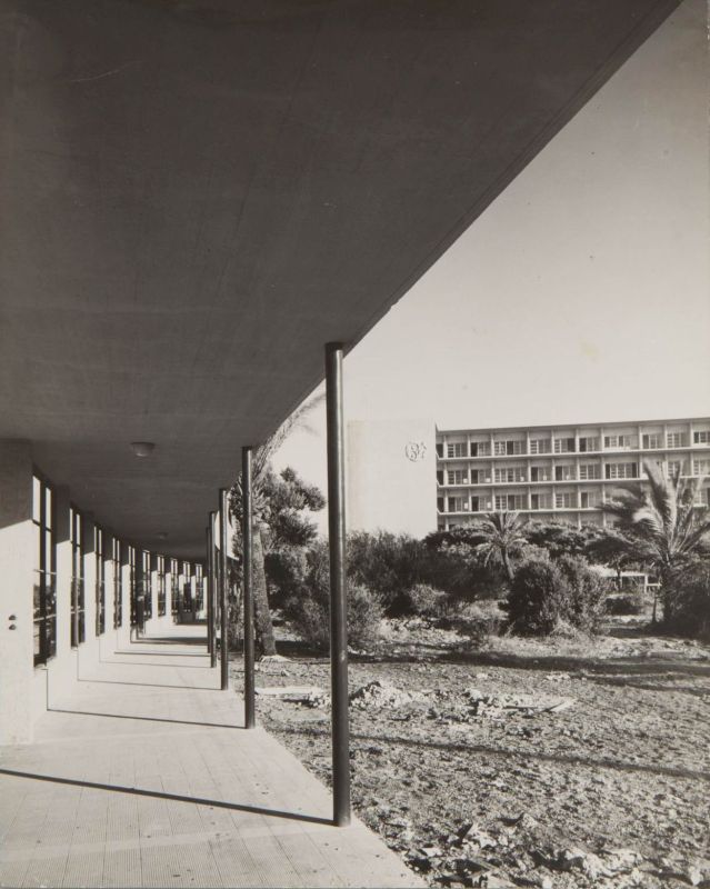 Rambam Hospital, Haifa | The Israel Museum, Jerusalem