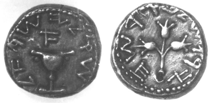 Jewish coin of the First Jewish War | The Israel Museum, Jerusalem