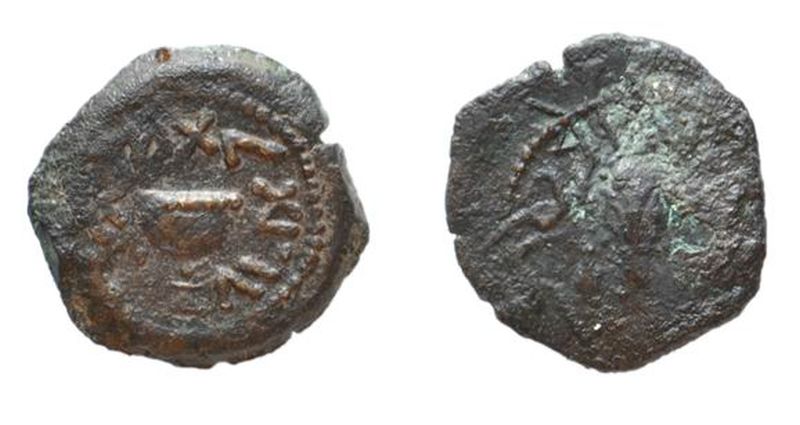 Jewish coin of the First Jewish War | The Israel Museum, Jerusalem