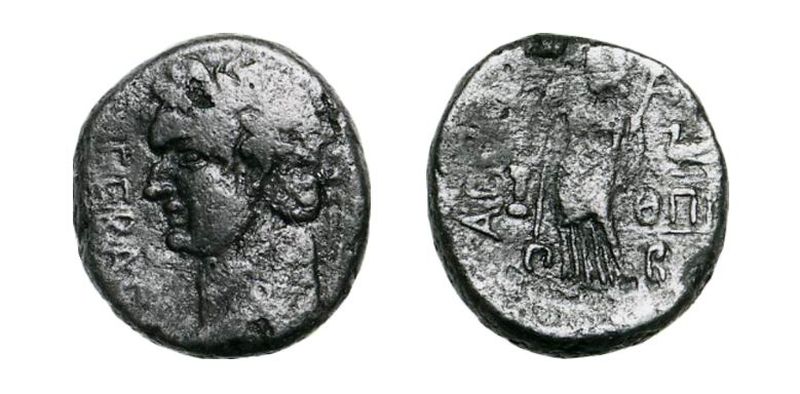 Roman Provincial coin of Domitian | The Israel Museum, Jerusalem