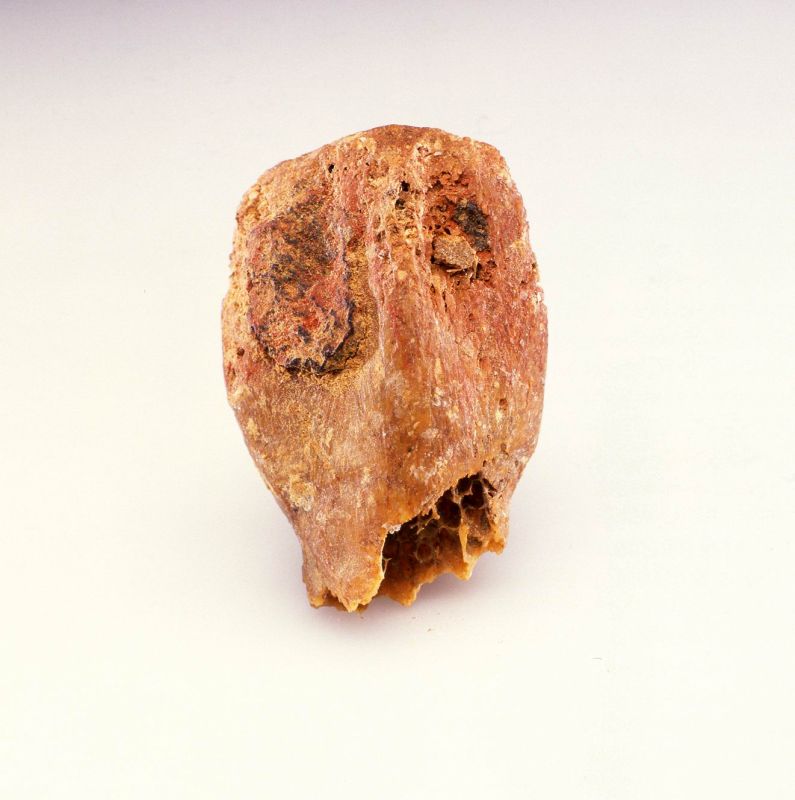 Figurine head | The Israel Museum, Jerusalem