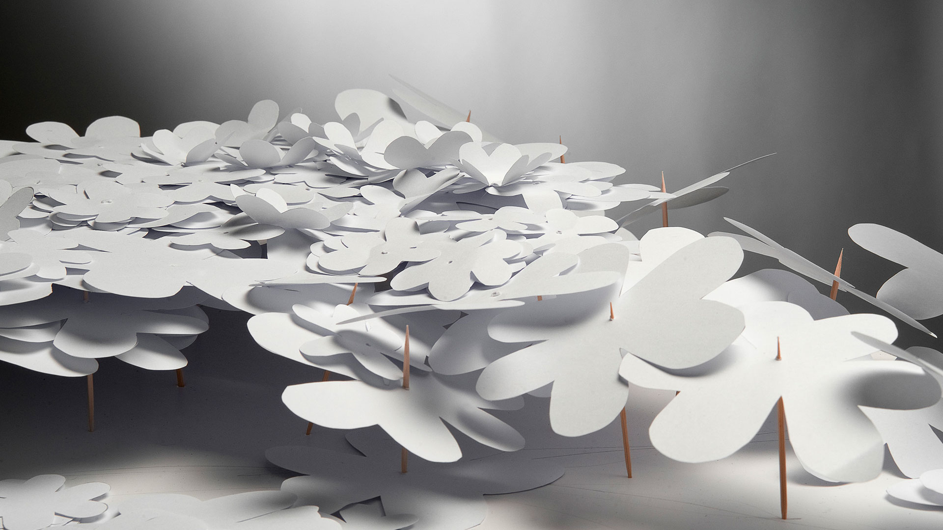 Paperworks | The Israel Museum, Jerusalem