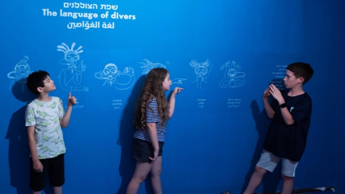 The Museum Embraces Israel | The Israel Museum, Jerusalem